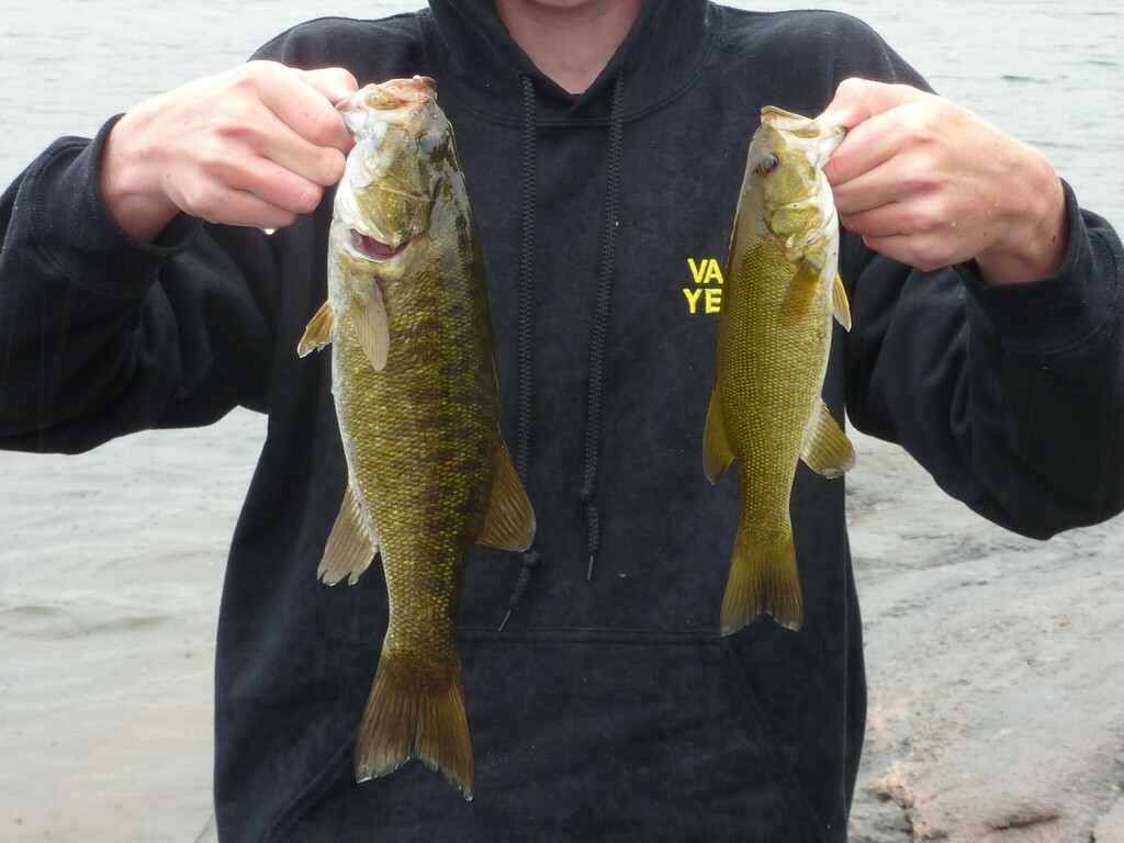 Smallmouth Bass from Haliburton County, ON, Canada on August 9, 2012 at ...