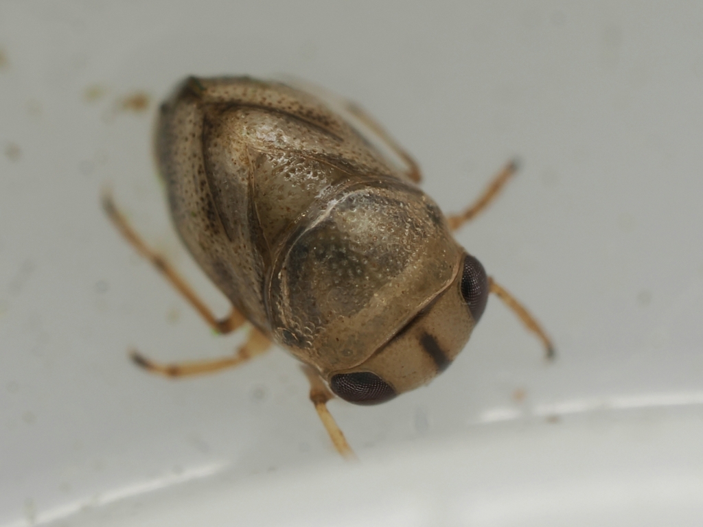 Plea from Lasy Siechnicko-Kotowickie, PL on August 24, 2024 at 01:08 PM ...