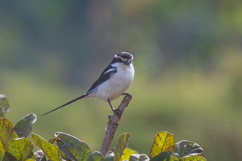 Uhehe Fiscal from Kilolo, Tanzania on August 8, 2024 at 08:19 AM by ...