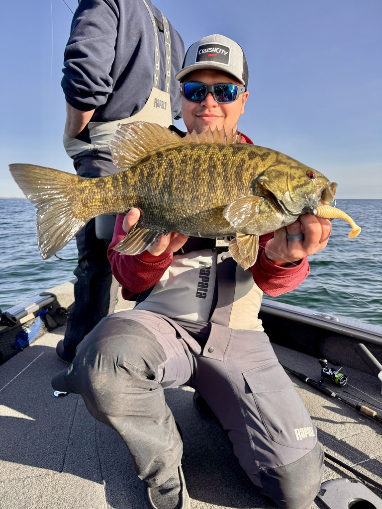 Smallmouth Bass in May 2024 by Nathan Murphy. Released · iNaturalist