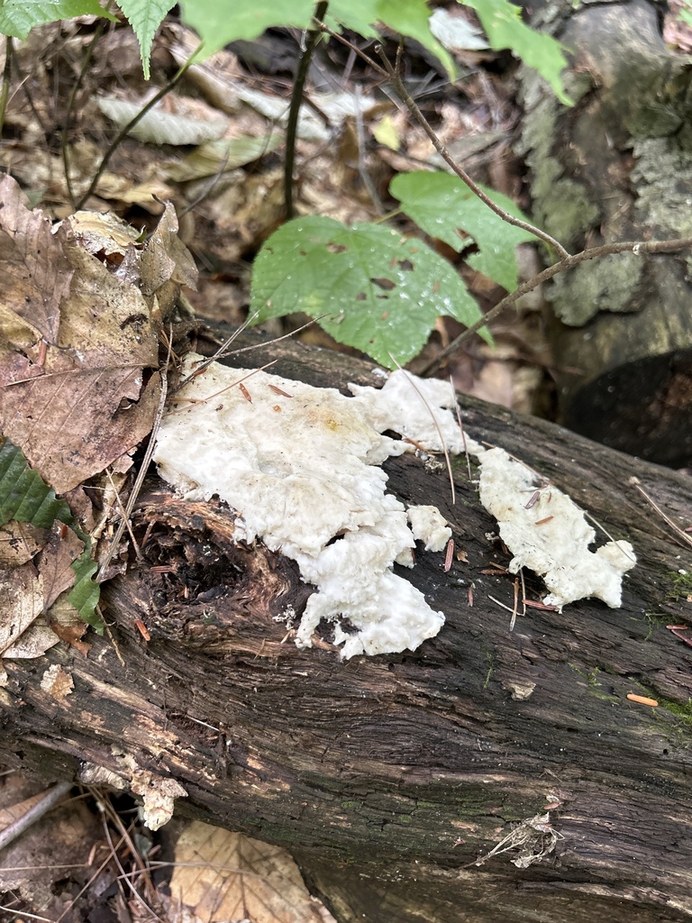 enveloping crust from Autoroute 640 W, Rosemère, QC, CA on September 2 ...