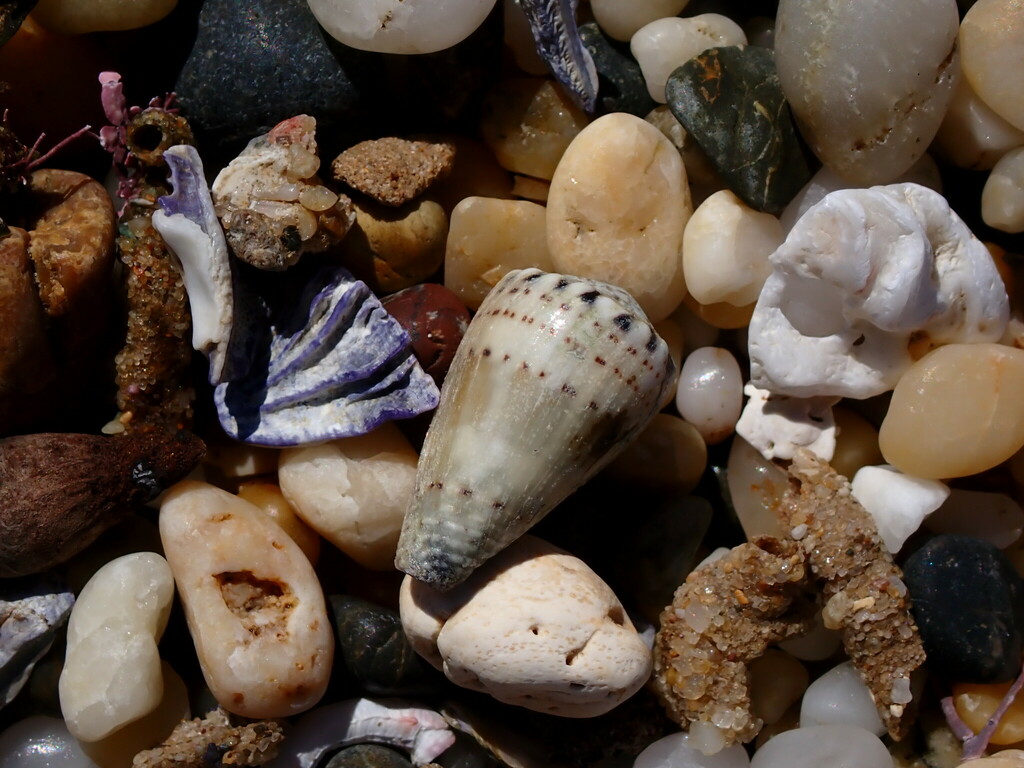 Music Cone from Barcoongere NSW 2460, Australia on September 05, 2024 ...