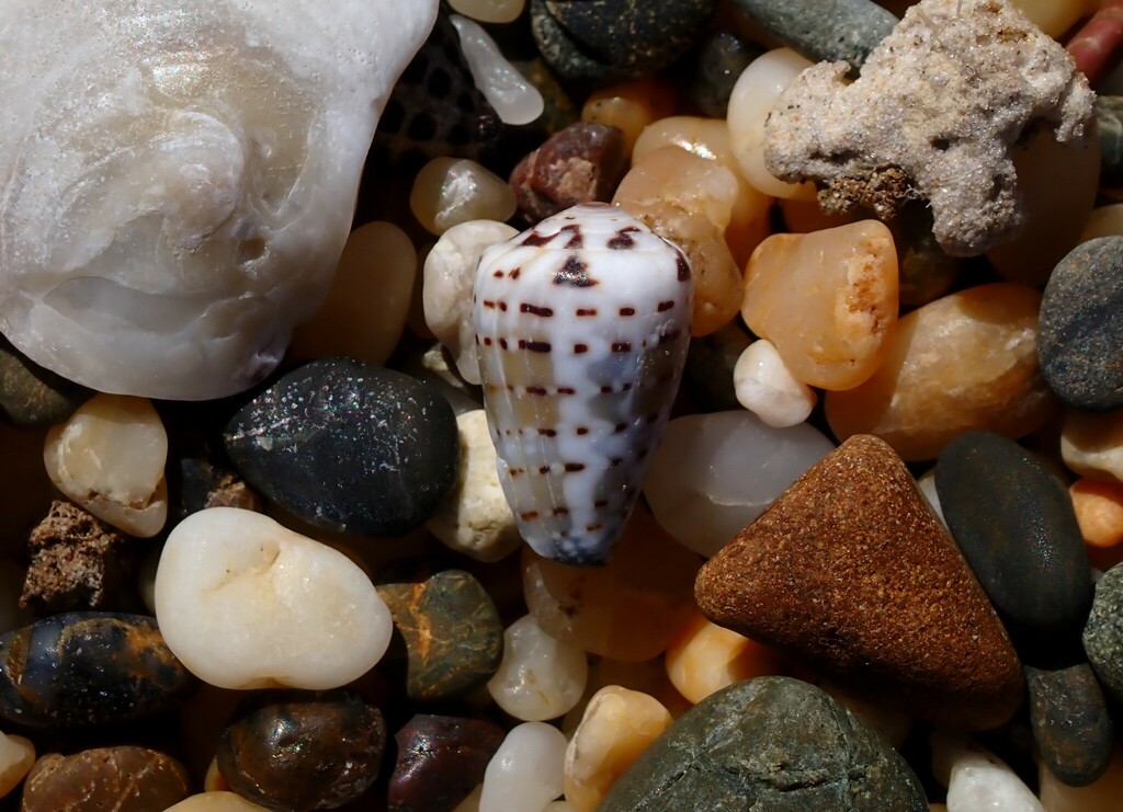 Music Cone from Barcoongere NSW 2460, Australia on September 5, 2024 at ...