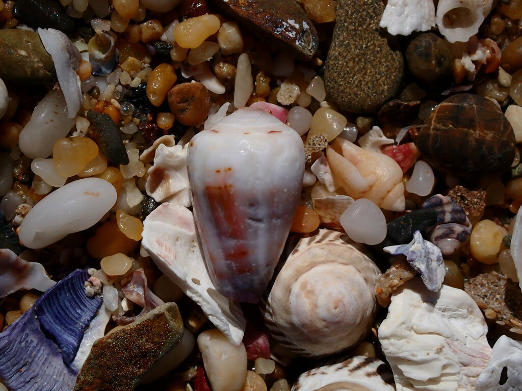 Music Cone from Barcoongere NSW 2460, Australia on September 05, 2024 ...