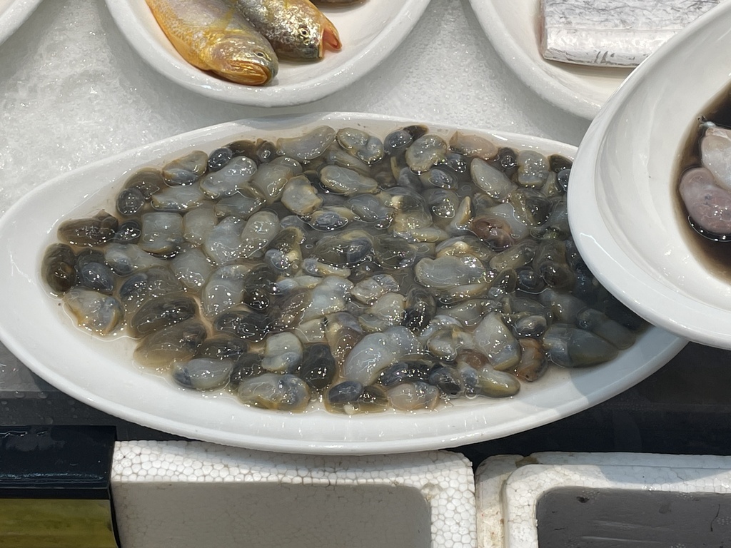 Bullacta caurina in September 2024 by Alex Pintsen JIN · iNaturalist