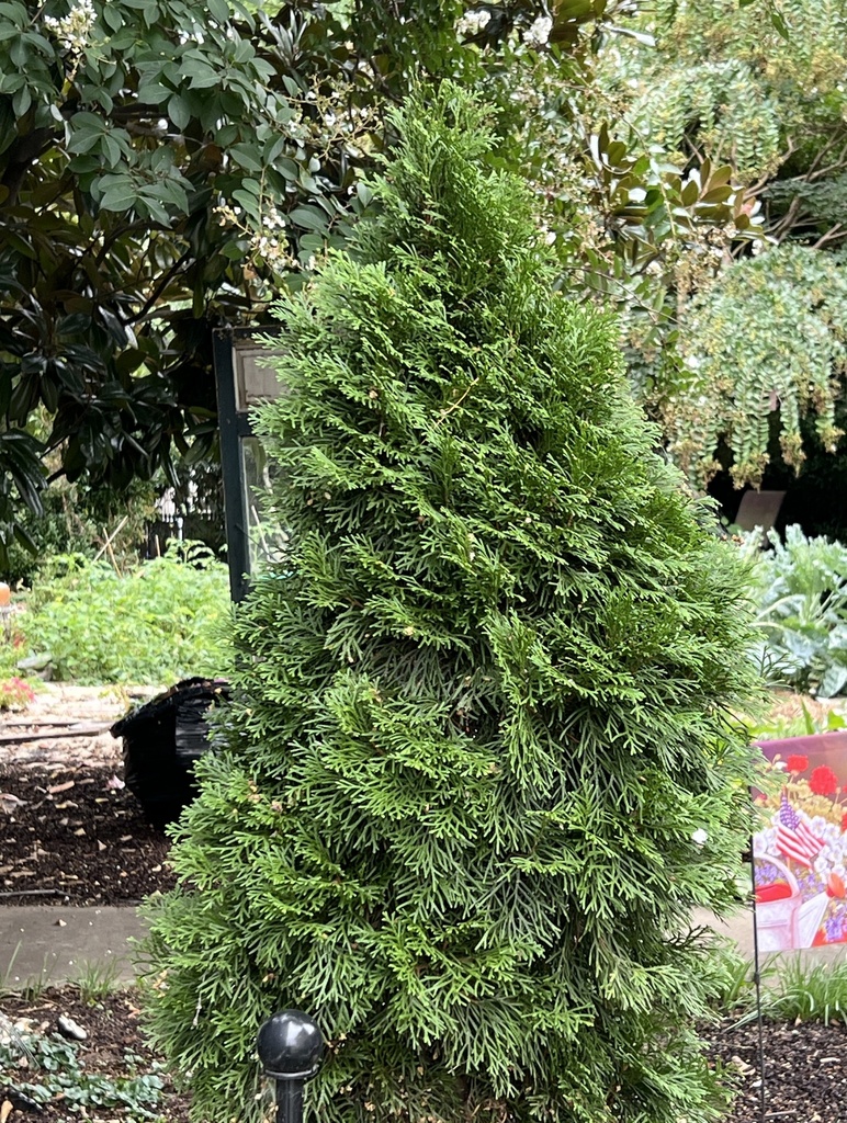 Something from W Potomac St, Williamsport, MD, US on September 22, 2024 ...