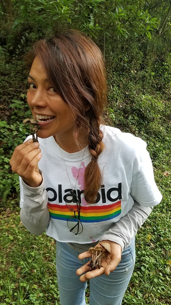 drunken mushroom from Veracruz, MX on June 28, 2019 at 04:48 PM by Alan ...