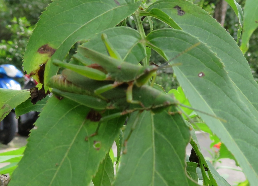 Tagasta from 545台灣南投縣埔里鎮 on September 29, 2024 at 02:22 PM by r88621108 ...