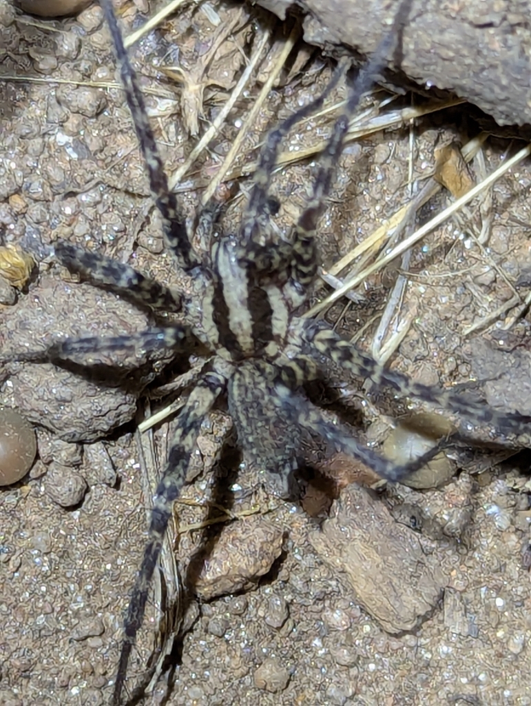 Calilena from San Diego County, CA, USA on September 29, 2024 at 08:21 ...
