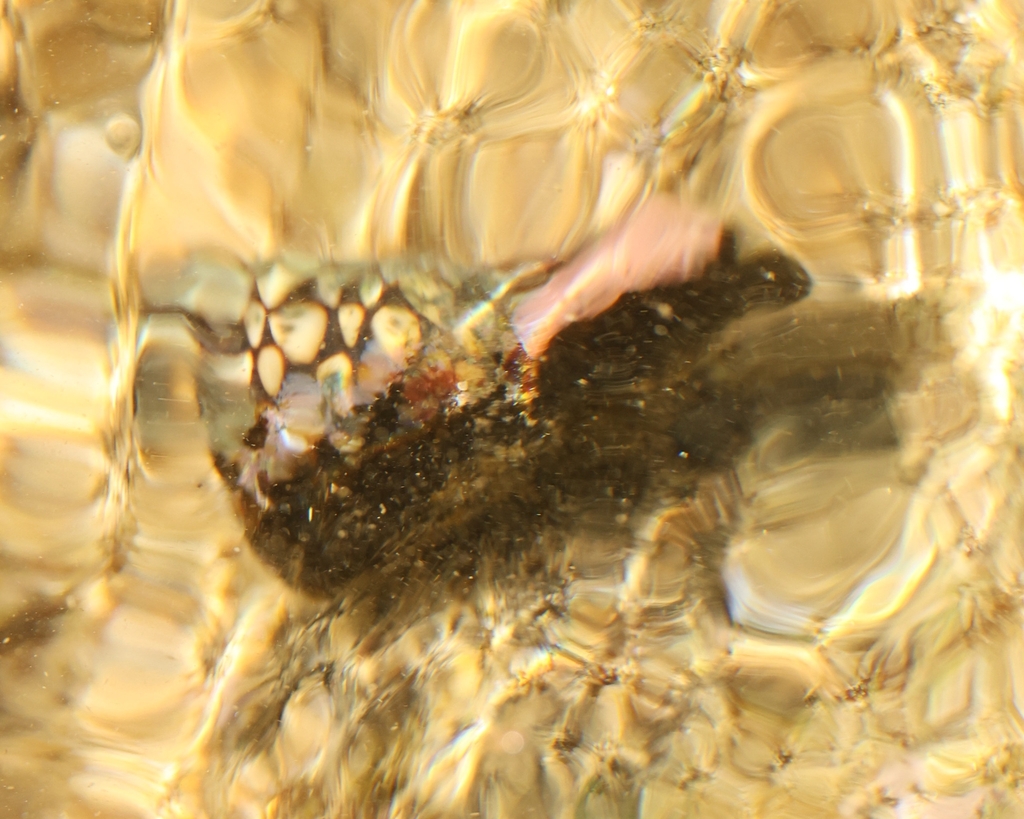 Marble Cone from 8X5H+J4X, Talihau, Tonga on October 7, 2024 at 04:27 ...