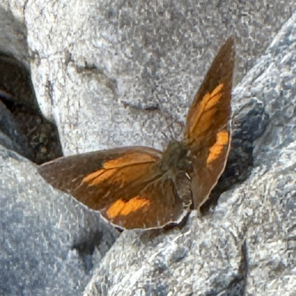 Angled Sunbeam from Kitain Temple, Kawagoe, Saitama, JP on October 15 ...