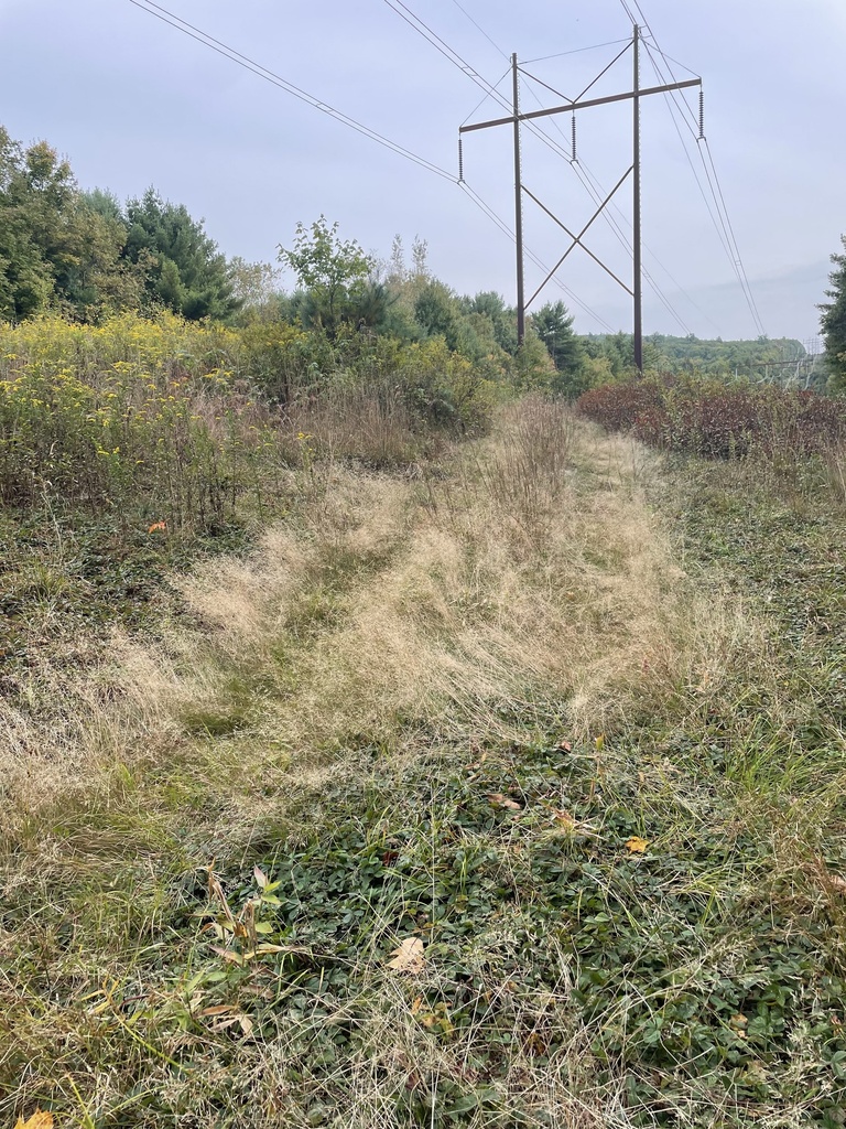 scratch grass from Rattlesnake Gutter Rd, Leverett, MA, US on September ...