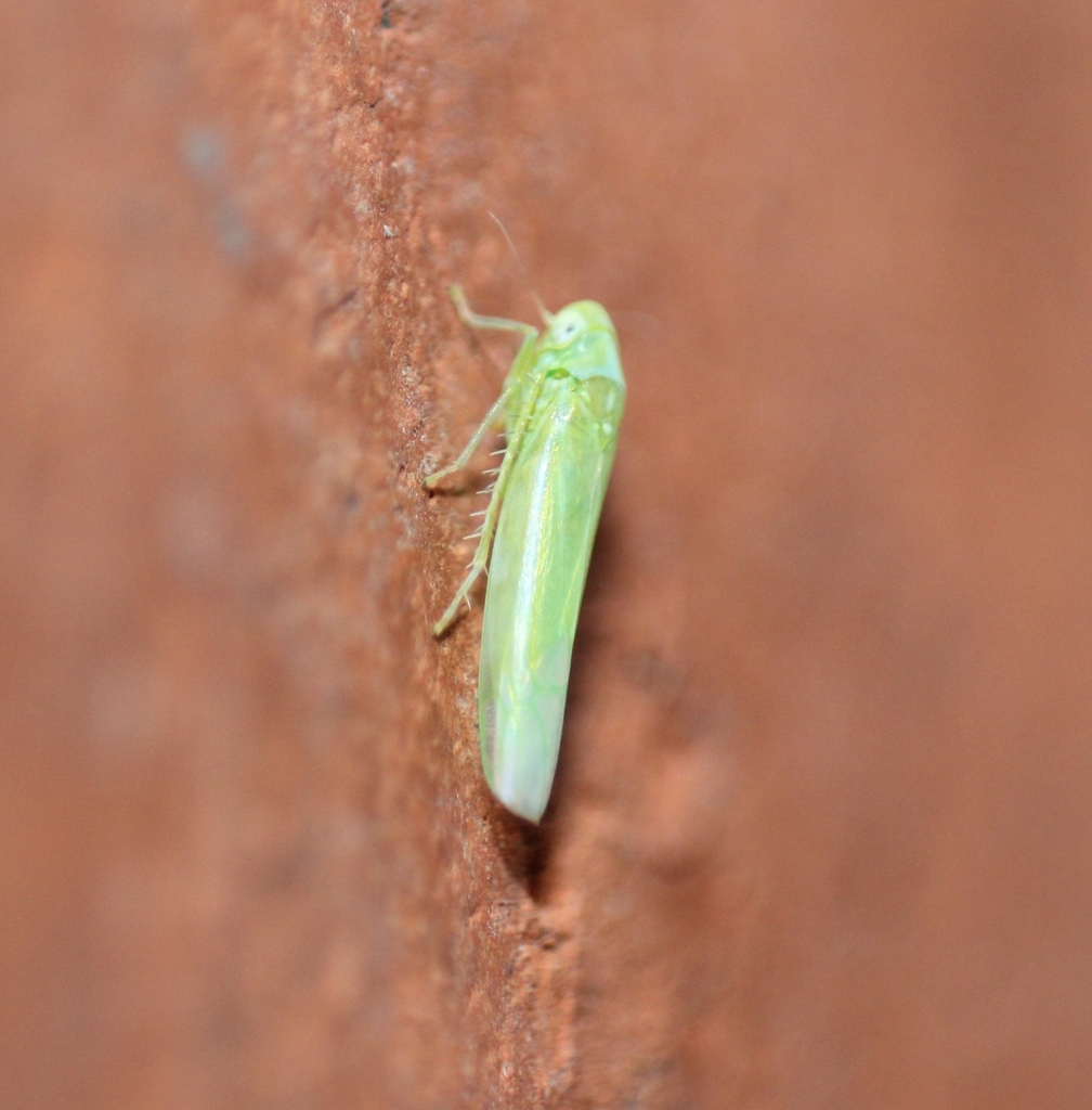 Hebata from Rochdale OL12 9EF, UK on October 12, 2024 at 02:12 PM by ...