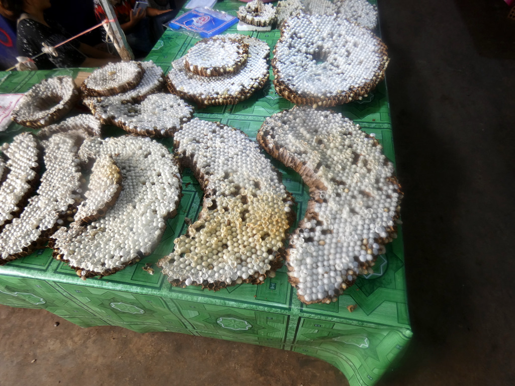 Asian Giant Hornet from Vientiane, Laos on October 20, 2024 at 11:52 AM ...