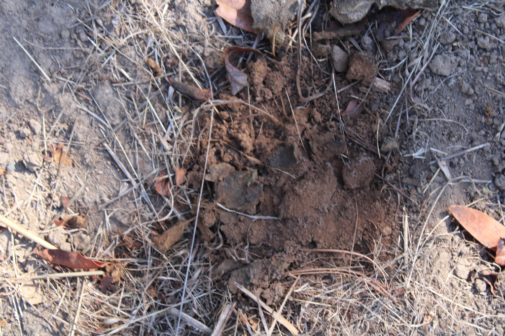 Dead Man's Foot from Tennessee Valley, California, California 94941 ...