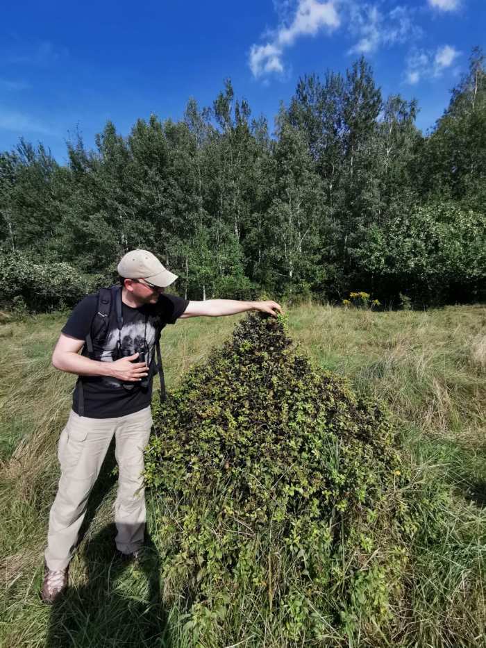 Welcome to the 'Tree Growth Forms Shaped by Mammals' Project! · Natusfera