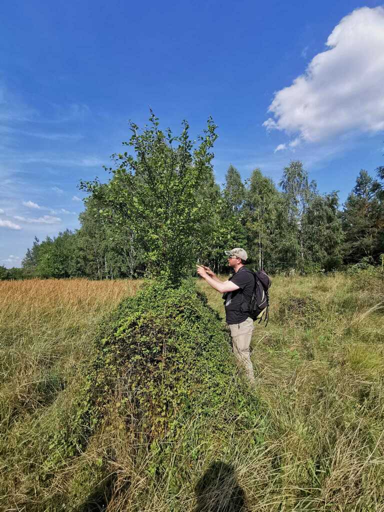 Welcome to the 'Tree Growth Forms Shaped by Mammals' Project! · Natusfera