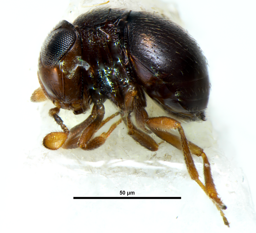 Baeus from Brooklyn, NY, USA on October 09, 2024 at 12:54 PM by Alfred ...