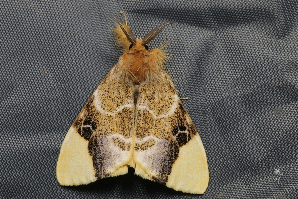 Pida postalba from Hainan, CN-HA, CN on October 23, 2024 at 12:23 AM by ...