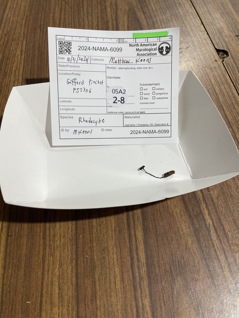 Domecaps from Cispus Job Corps Consrv Center, Randle, WA, US on ...