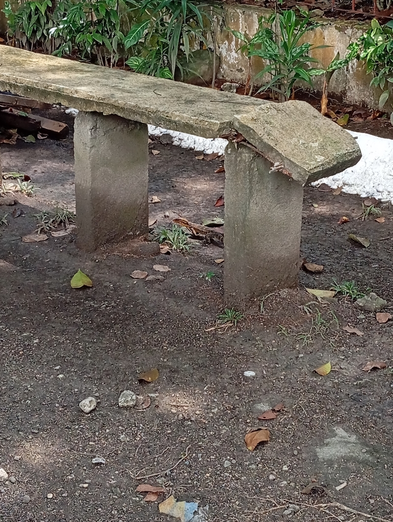 Yellow-headed Water Monitor from 287C+8M, Datu Odin Sinsuat ...