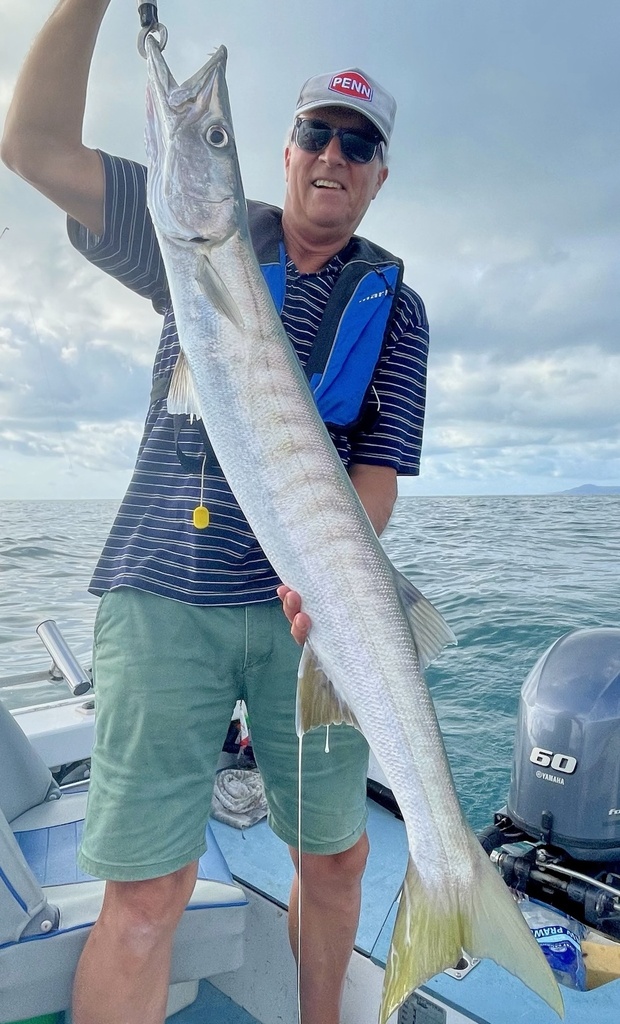 Great Barracuda from Coral Sea, Kurrimine Beach, QLD, AU on October 23 ...