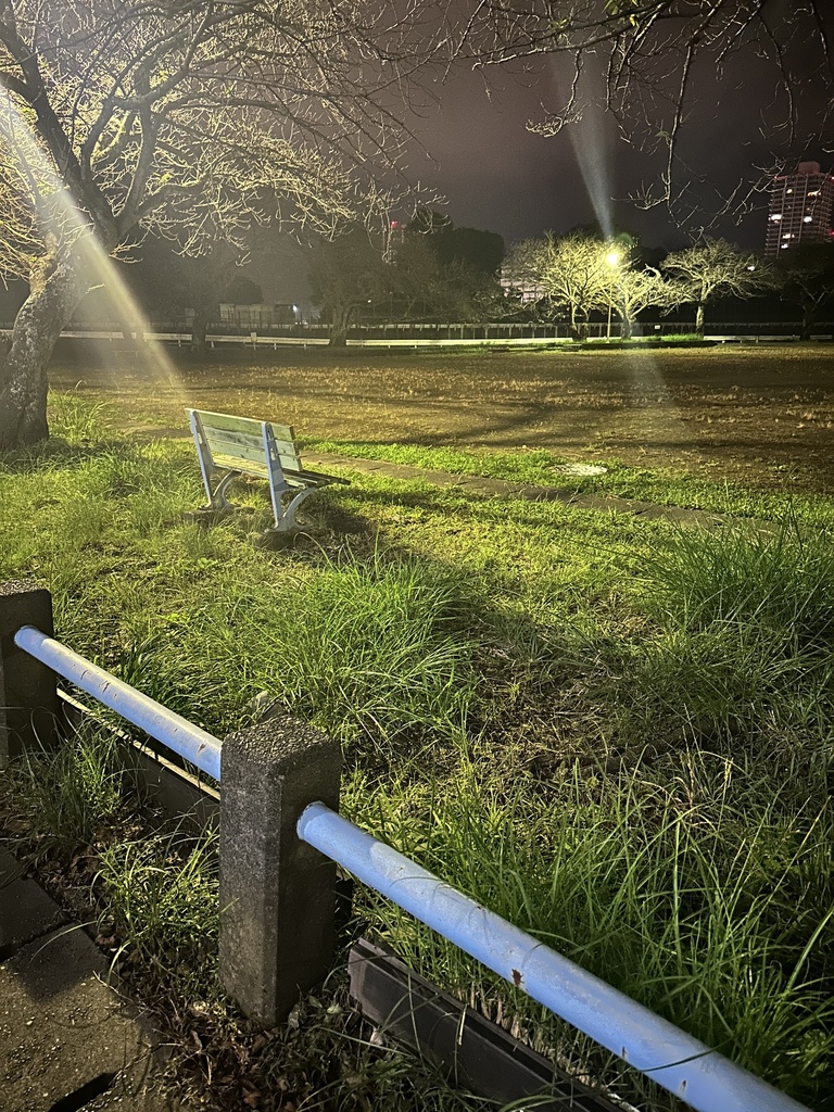 Emma Field Cricket from 池田公園, 静岡市, 静岡県, JP on November 12, 2024 at 05: ...