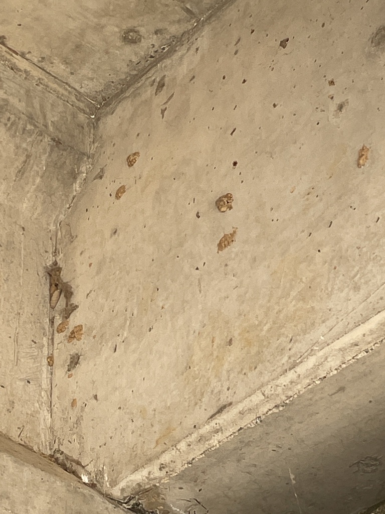 Something from Barnard Cct, Florey, ACT, AU on November 13, 2024 at 11: ...