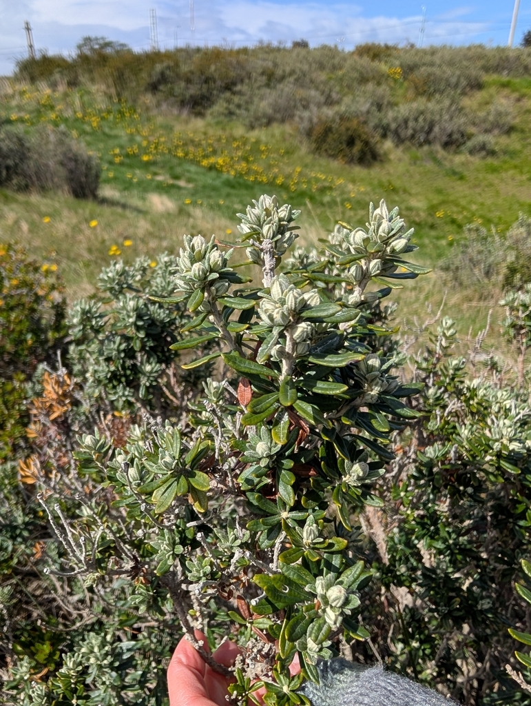 Fachine from Ushuaia Airport, V9401 Ushuaia, Tierra del Fuego ...