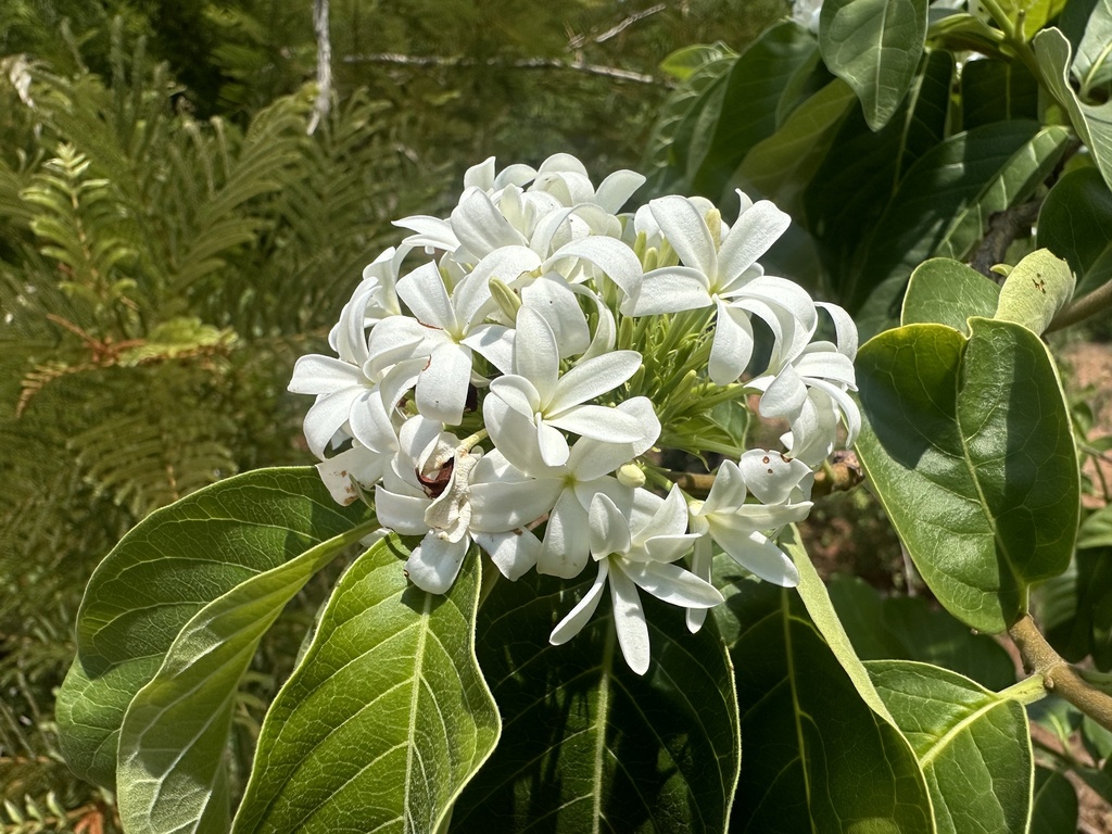 indrajao from Vhembe, Kruger National Park, ZA-NP, ZA on December 05 ...