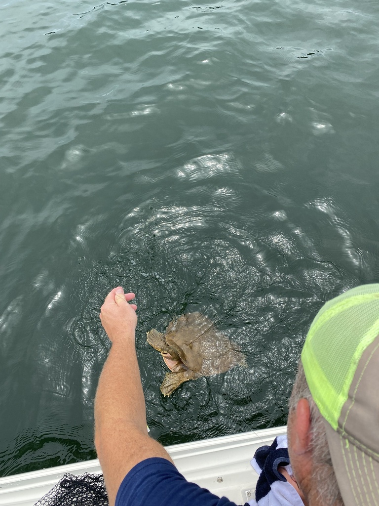 Spiny Softshell from Atwood Lake, Dellroy, OH, US on September 28, 2024 ...