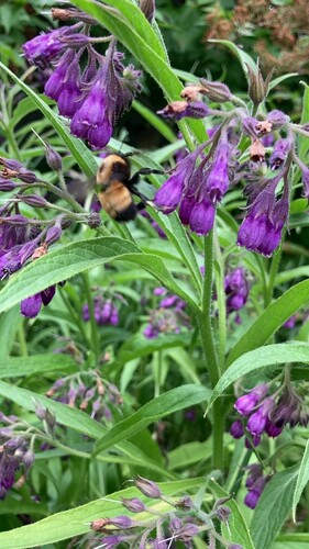 Photo 456701570, (c) pbulman, some rights reserved (CC BY-NC ...