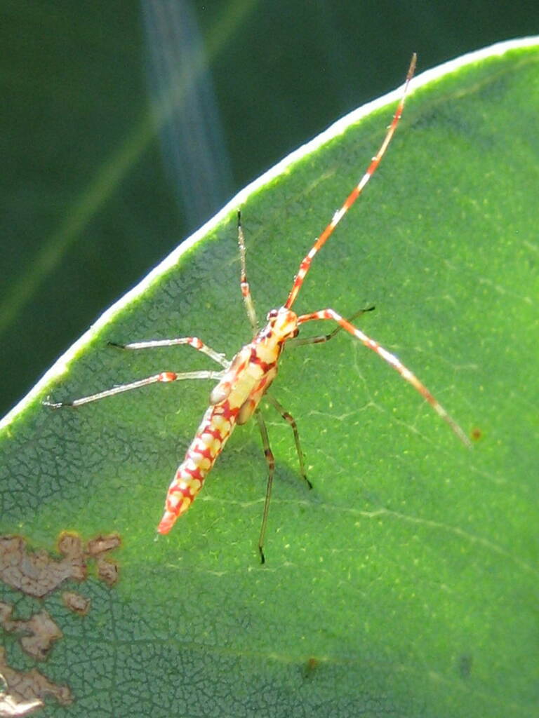 Rayieria from Frankston South VIC, Australia on December 19, 2024 at 02 ...