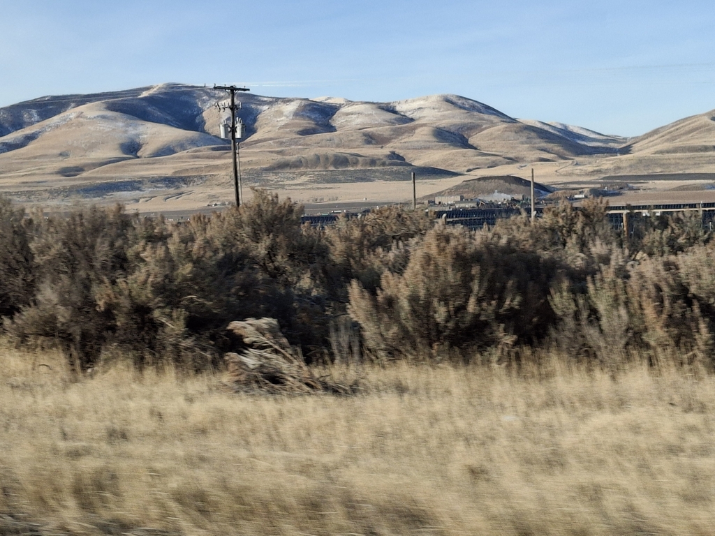 Big Sagebrush from Garland, UT 84312, USA on December 19, 2024 at 09:34 ...