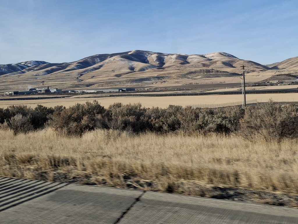 Big Sagebrush from Garland, UT 84312, USA on December 19, 2024 at 09:34 ...