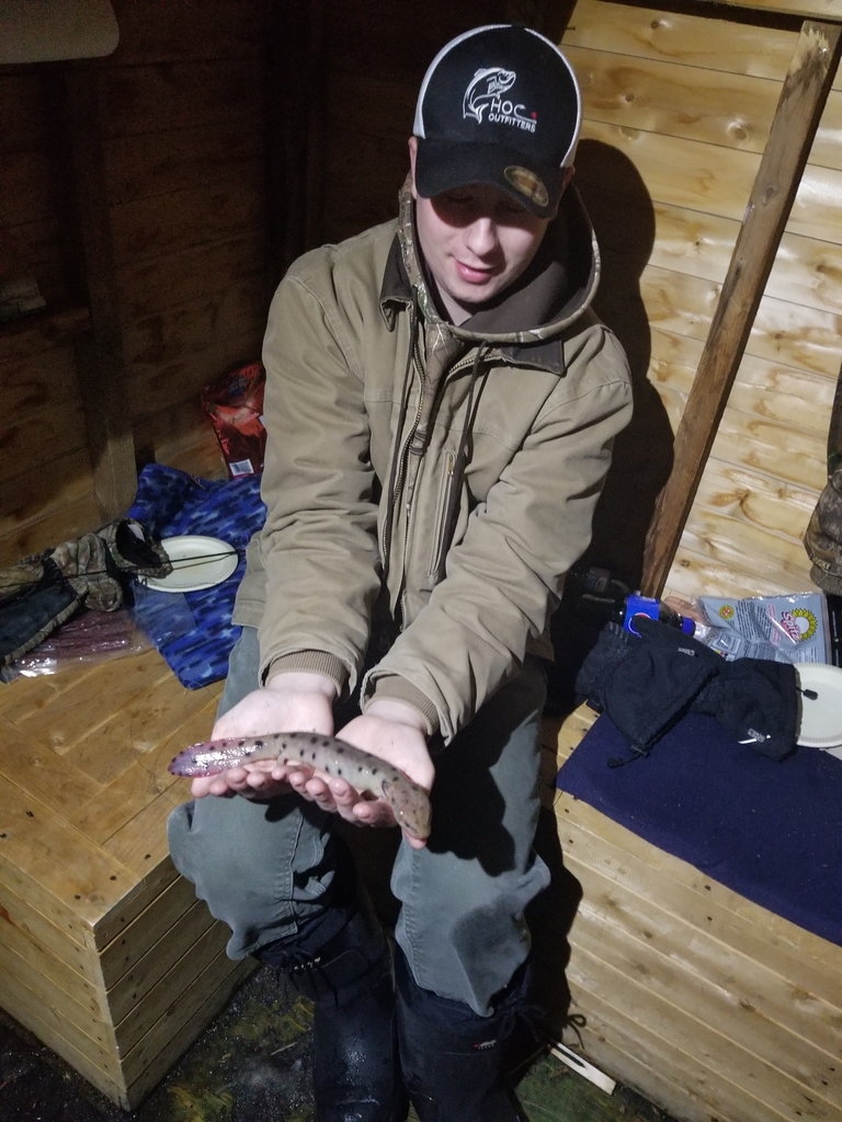 Common Mudpuppy from Dymond, Temiskaming Shores, ON, Canada on January ...