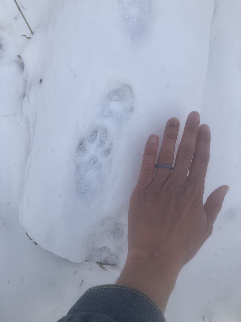 Fisher from Bloomer, WI, US on December 22, 2024 at 12:25 PM by Adrian ...