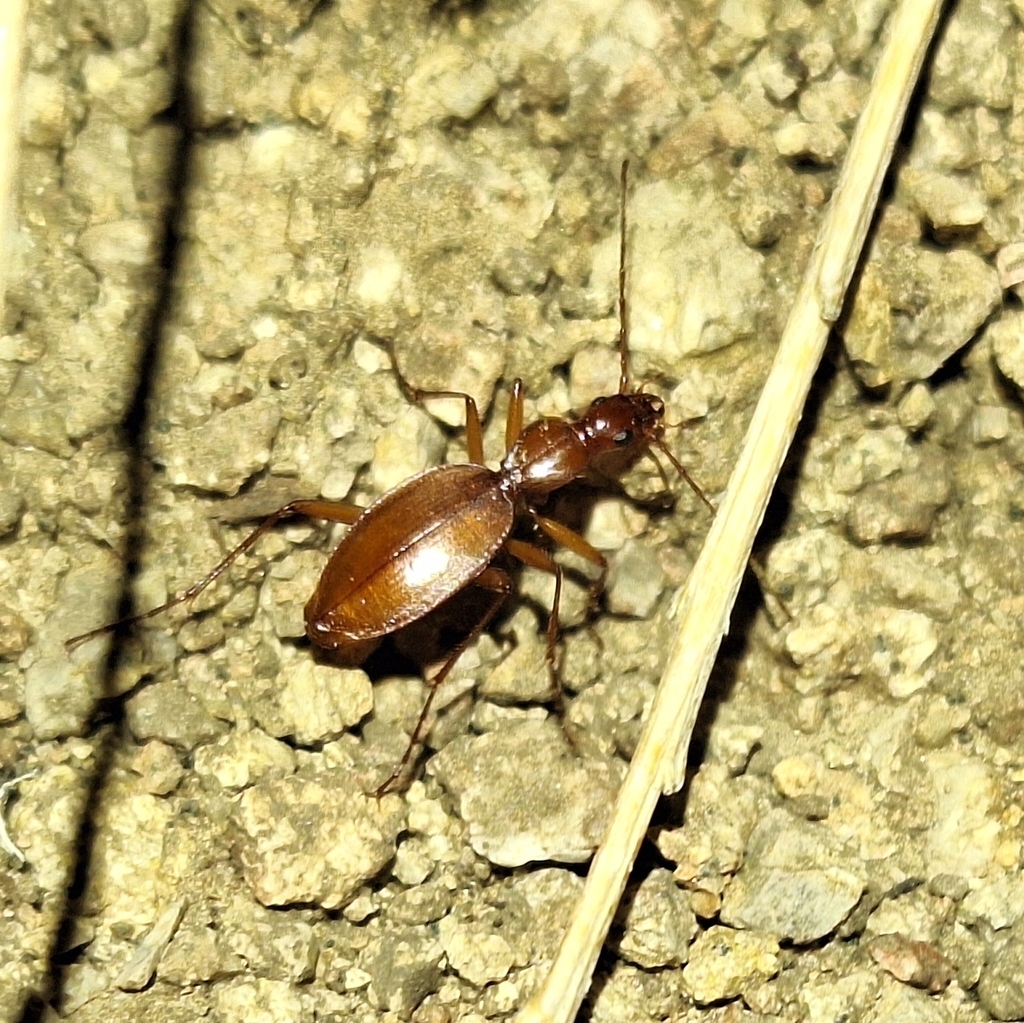 Rhadine from Las Cruces, Nuevo México 88011, EE. UU. on December 22 ...