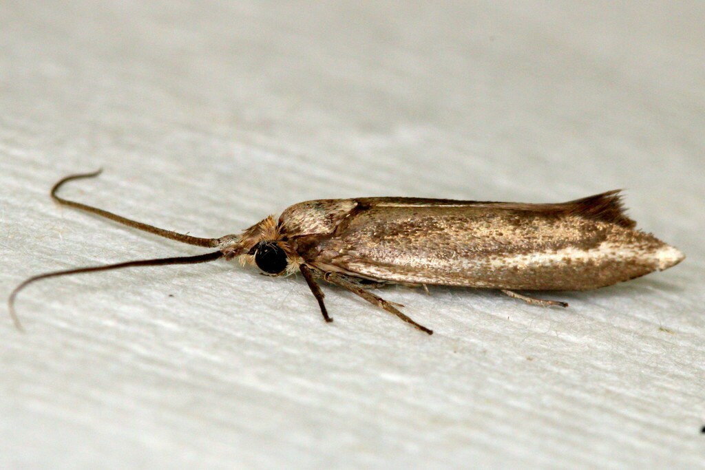 Tritymba from Sydney NSW, Australia on December 23, 2024 at 10:30 AM by ...