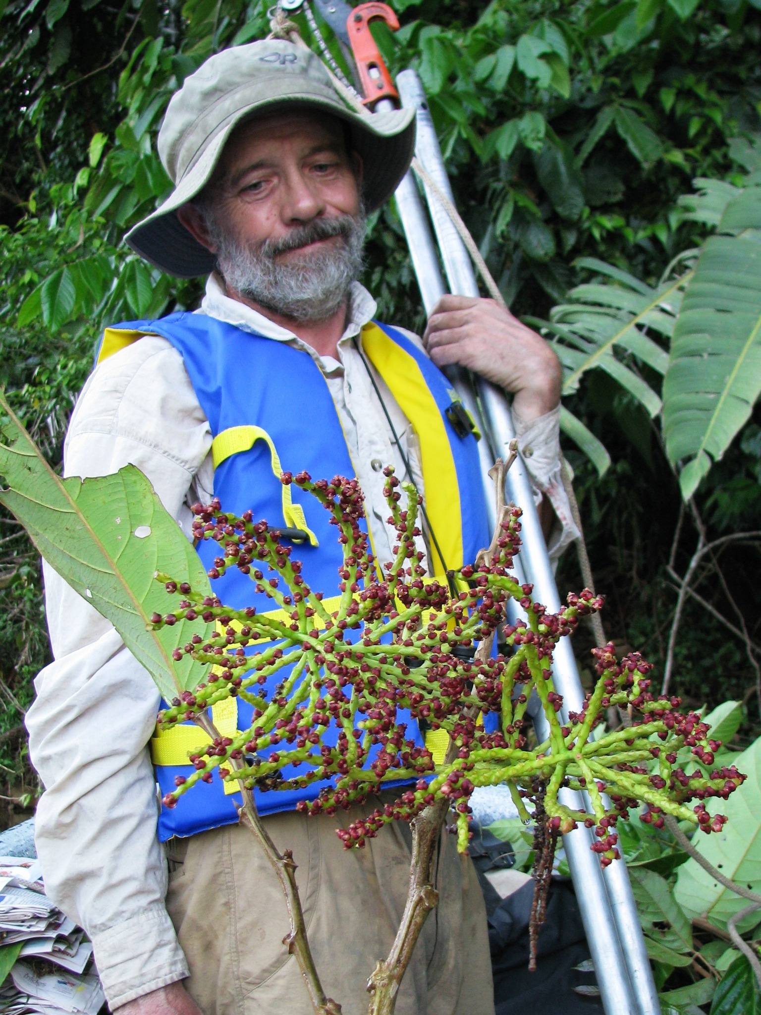 Tetrathylacium Poepp. & Endl.