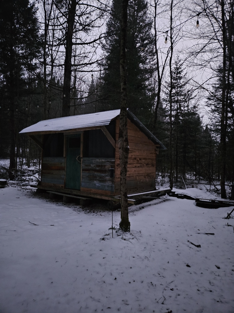 red maple from Essex County, US-VT, US on January 02, 2025 at 04:45 PM ...