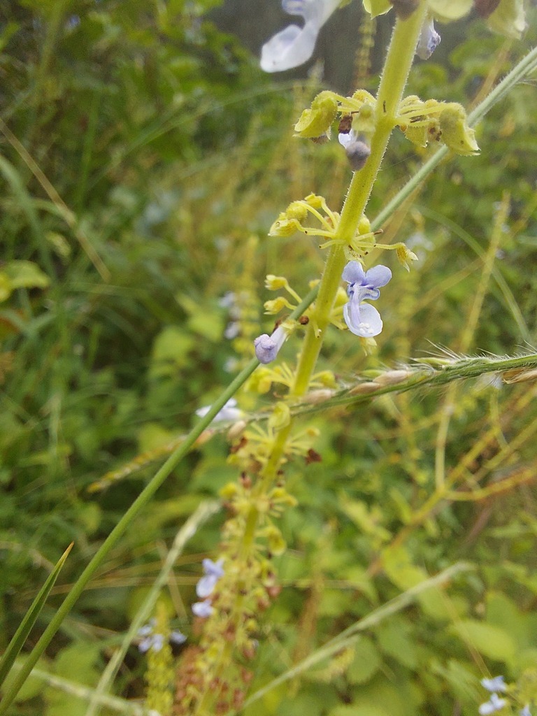 Hullworts from Gold Coast QLD, Australia on January 4, 2025 at 01:02 PM ...