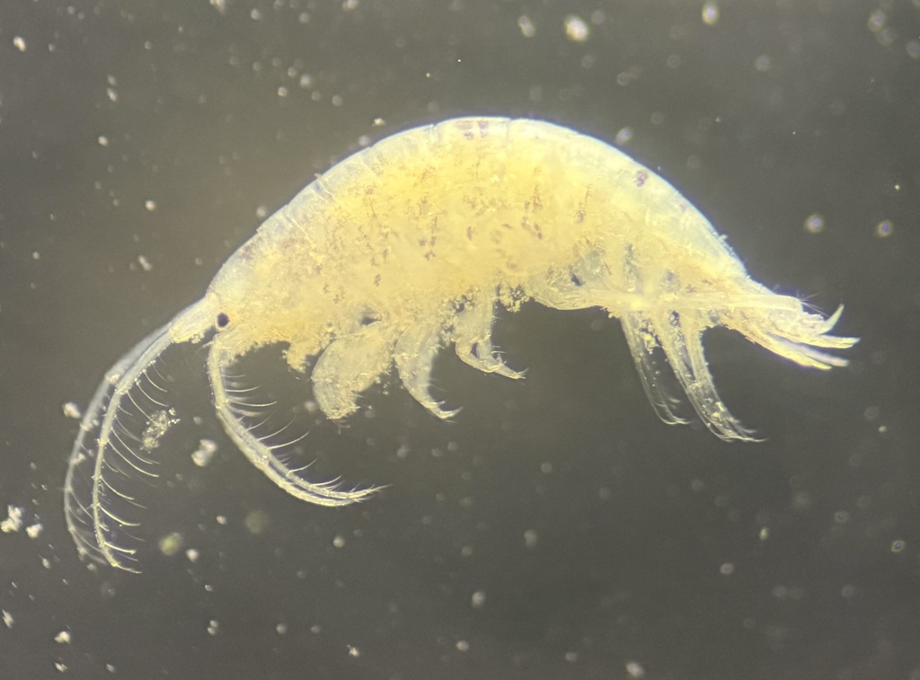 Photis from North Atlantic Ocean, FL, US on November 25, 2024 at 09:41 ...