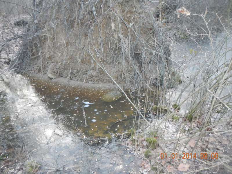 Common Snapping Turtle from Lebanon County, PA, USA on January 1, 2014 ...