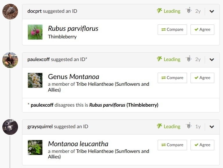 Improved algorithm · NaturaLista Colombia Improved algorithm · NaturaLista Colombia