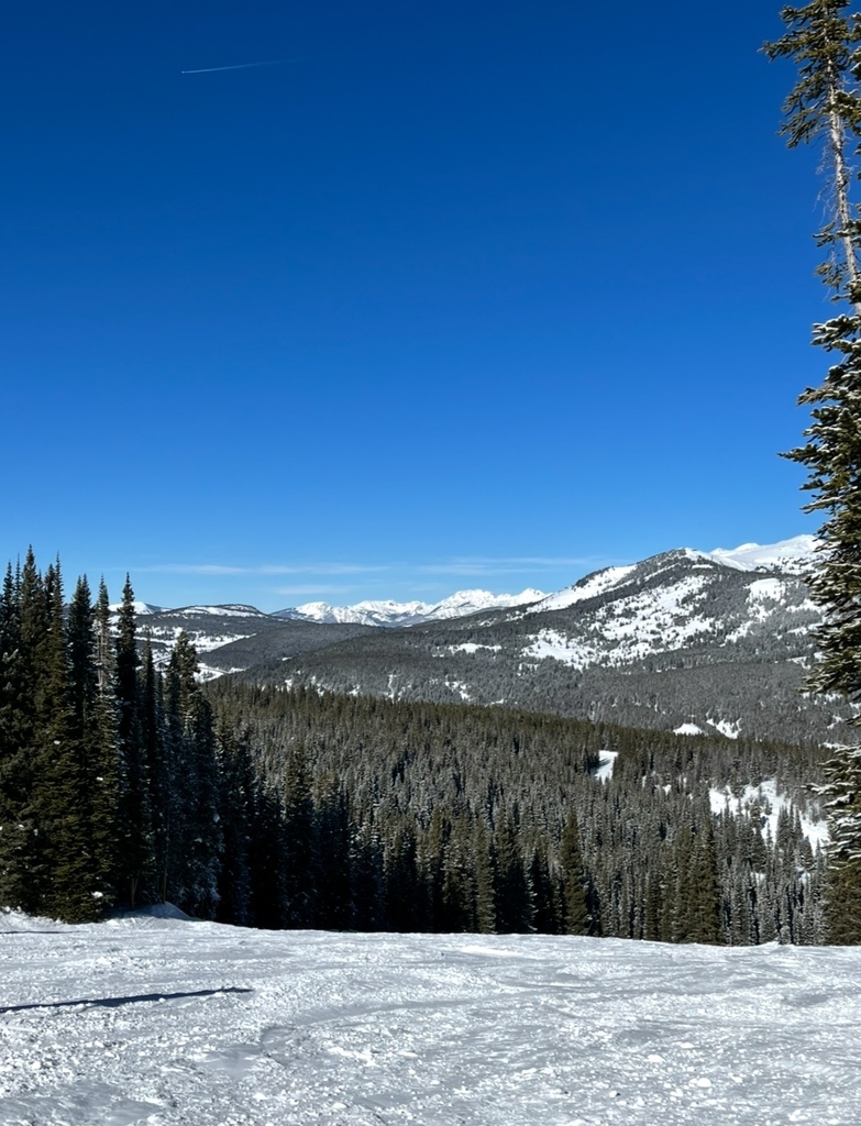 pines from Copper Mountain, CO 80443, USA on February 01, 2025 at 06:33 ...