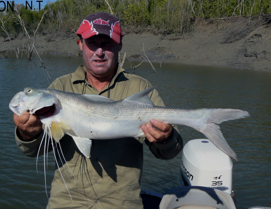 King Threadfin from Darwin NT, Australia on November 10, 2006 at 05:21 PM by Snow Dennis ...