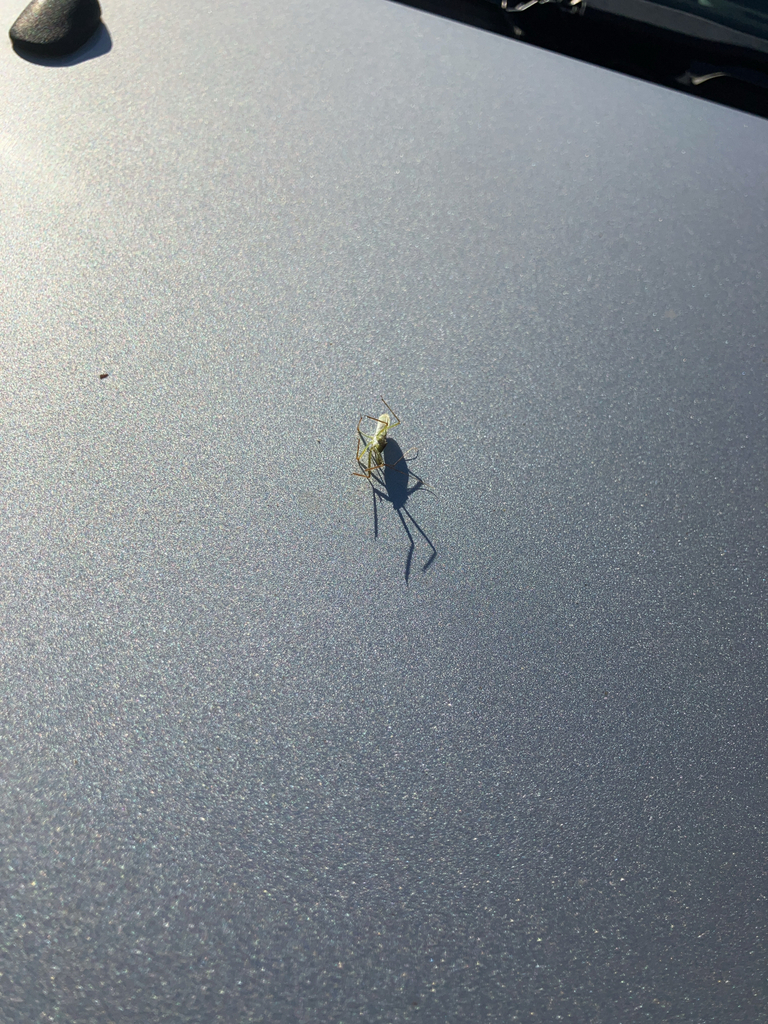 True Bugs from Arlington on February 20, 2025 at 03:47 PM by mamaott ...