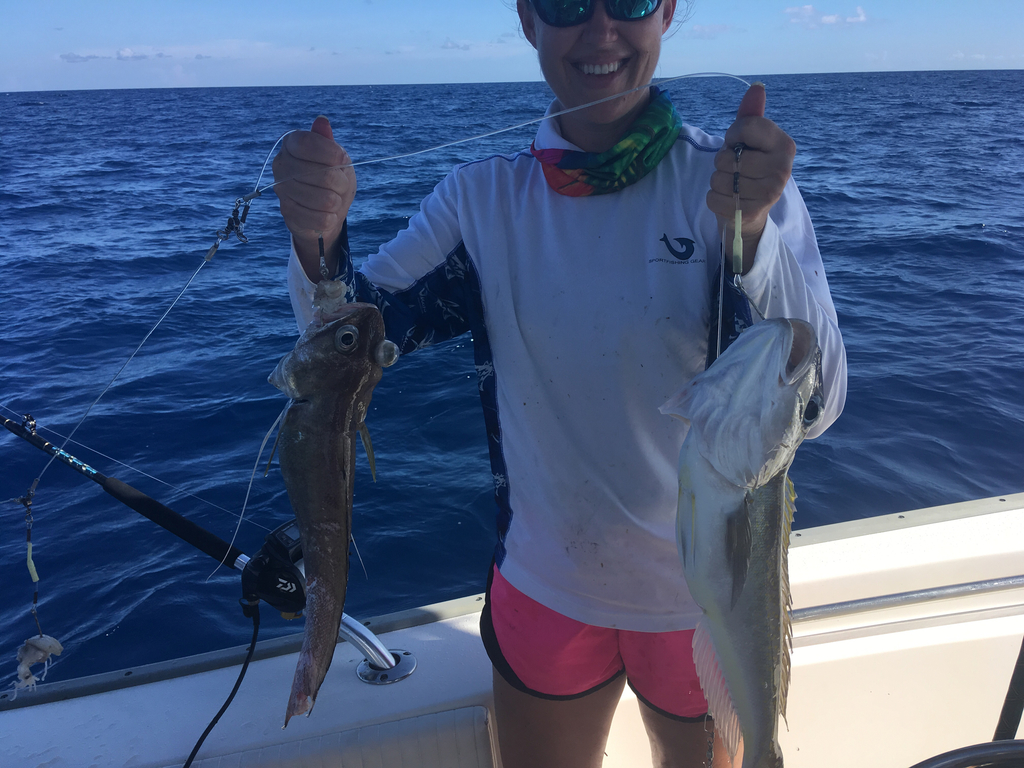 Gulf Hake (Urophycis cirrata) - Marine Life Identification