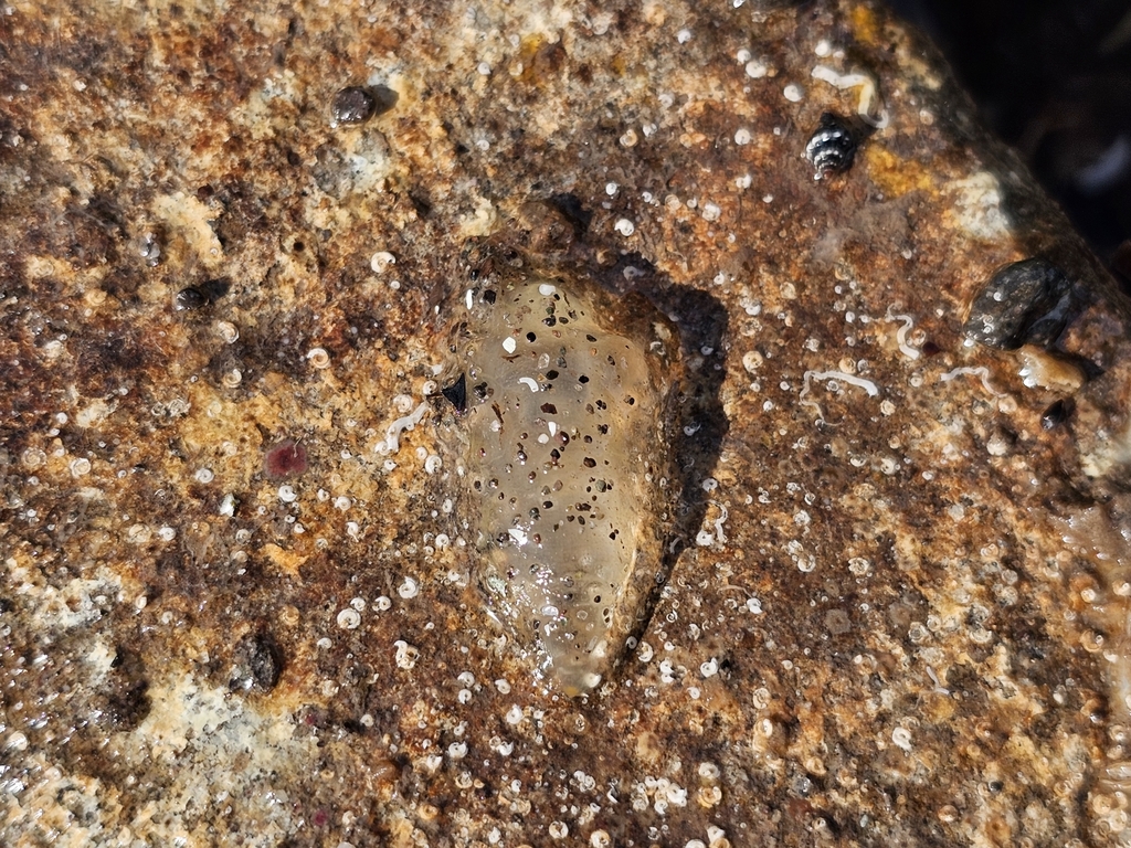 life from México on February 23, 2025 at 10:41 AM by Jennifer Ruelas ...